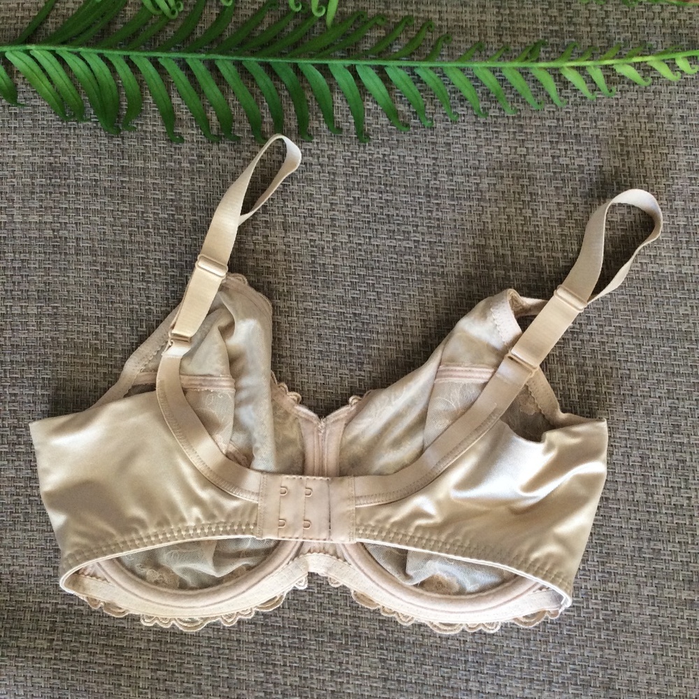 New!!! Wacoal Renaissance Rose Underwire Bra 36dd - Gem